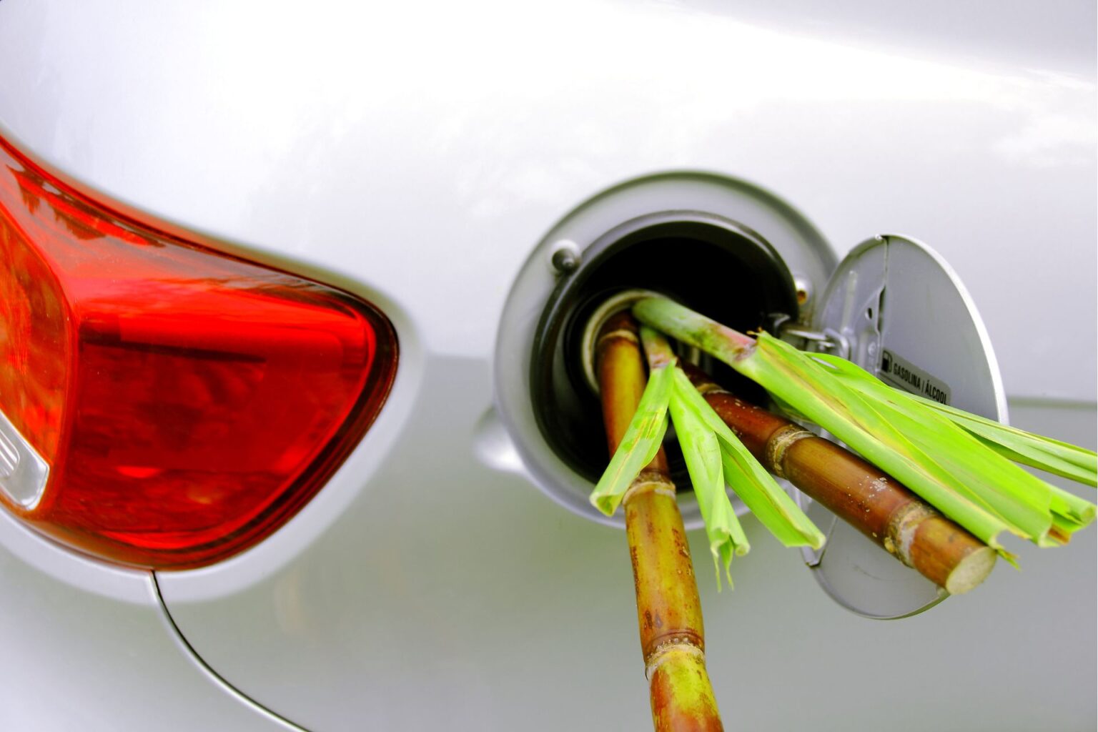 Ethanol-Powered Vehicles in India - Everything You Need To Know ...